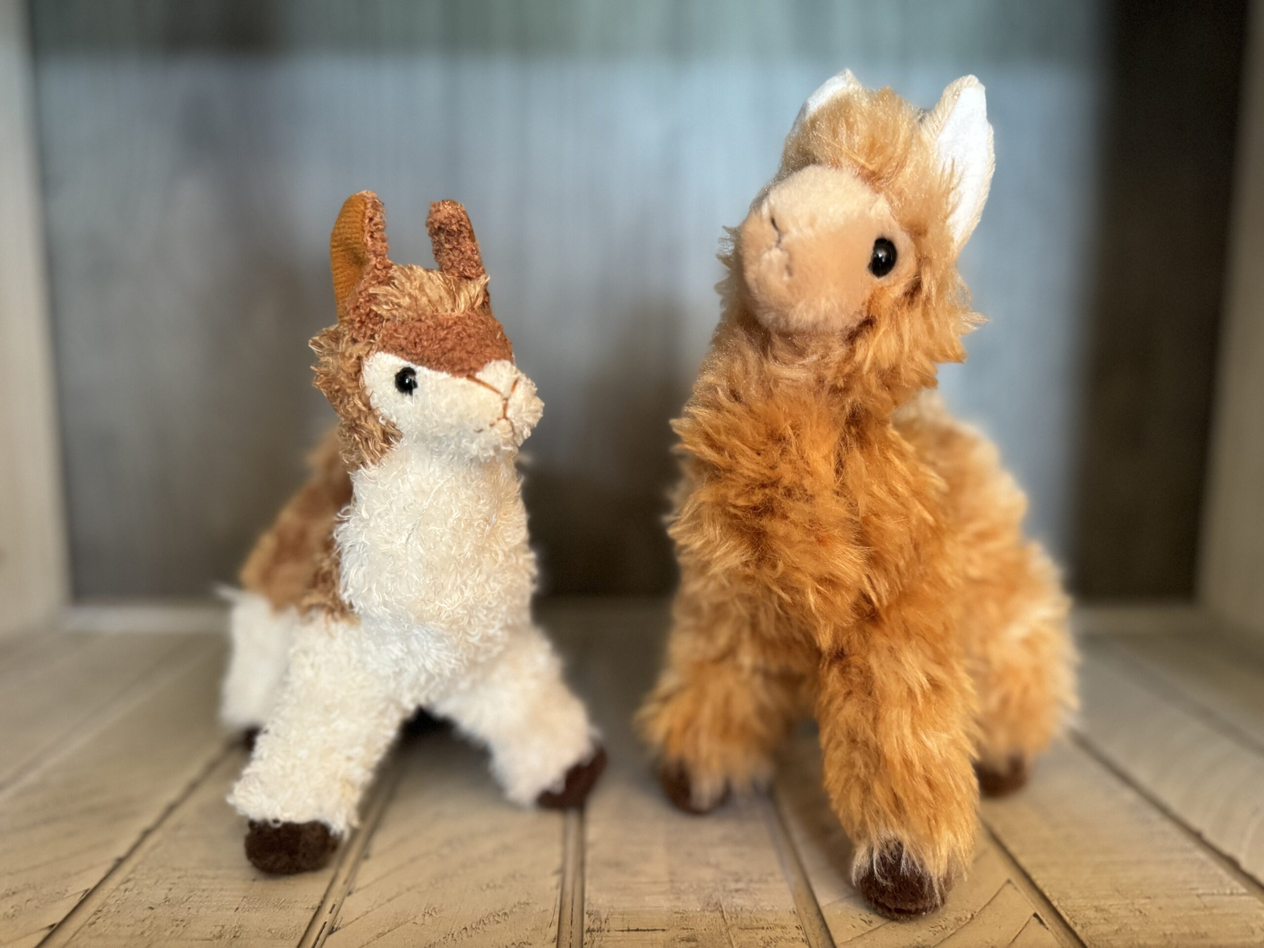 Store - Leconte Lodge